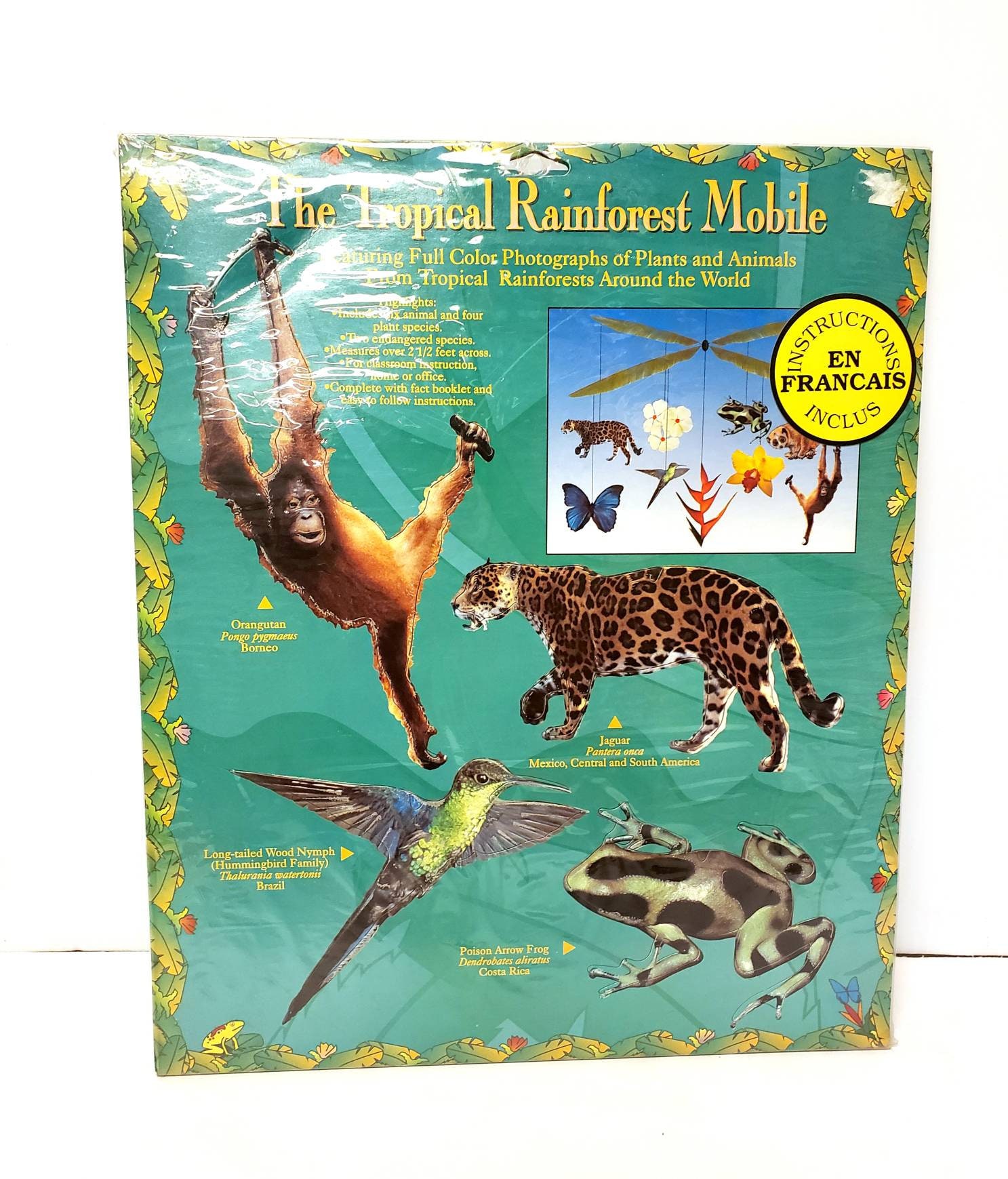 Rainforests Plants And Animals