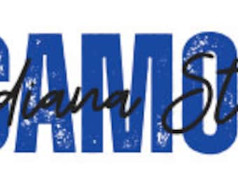 Cursive Bold Indiana State Sycamores, Team Spirit, Spirit Wear, School ...