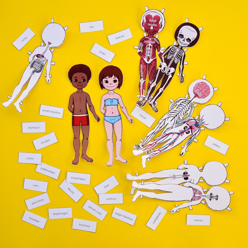 Skeleton Paper Doll - Etsy
