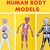 Printable Human Body Template - Etsy