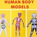 Printable Anatomy Paper Dolls - Etsy