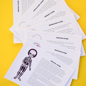 Printable Anatomy Paper Dolls - Etsy