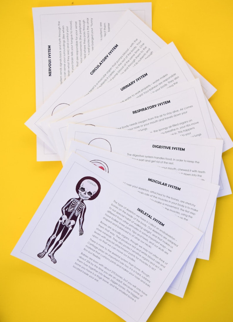 Printable Anatomy Paper Dolls - Etsy