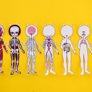 Printable Anatomy Paper Dolls - Etsy