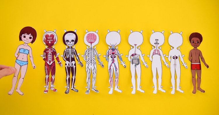 Printable Anatomy Paper Dolls - Etsy