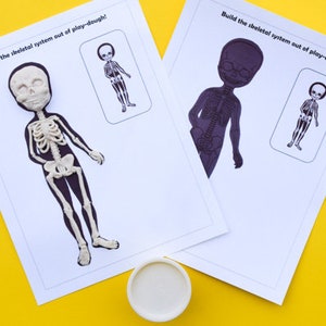Printable Human Body Playdough Mats - Etsy