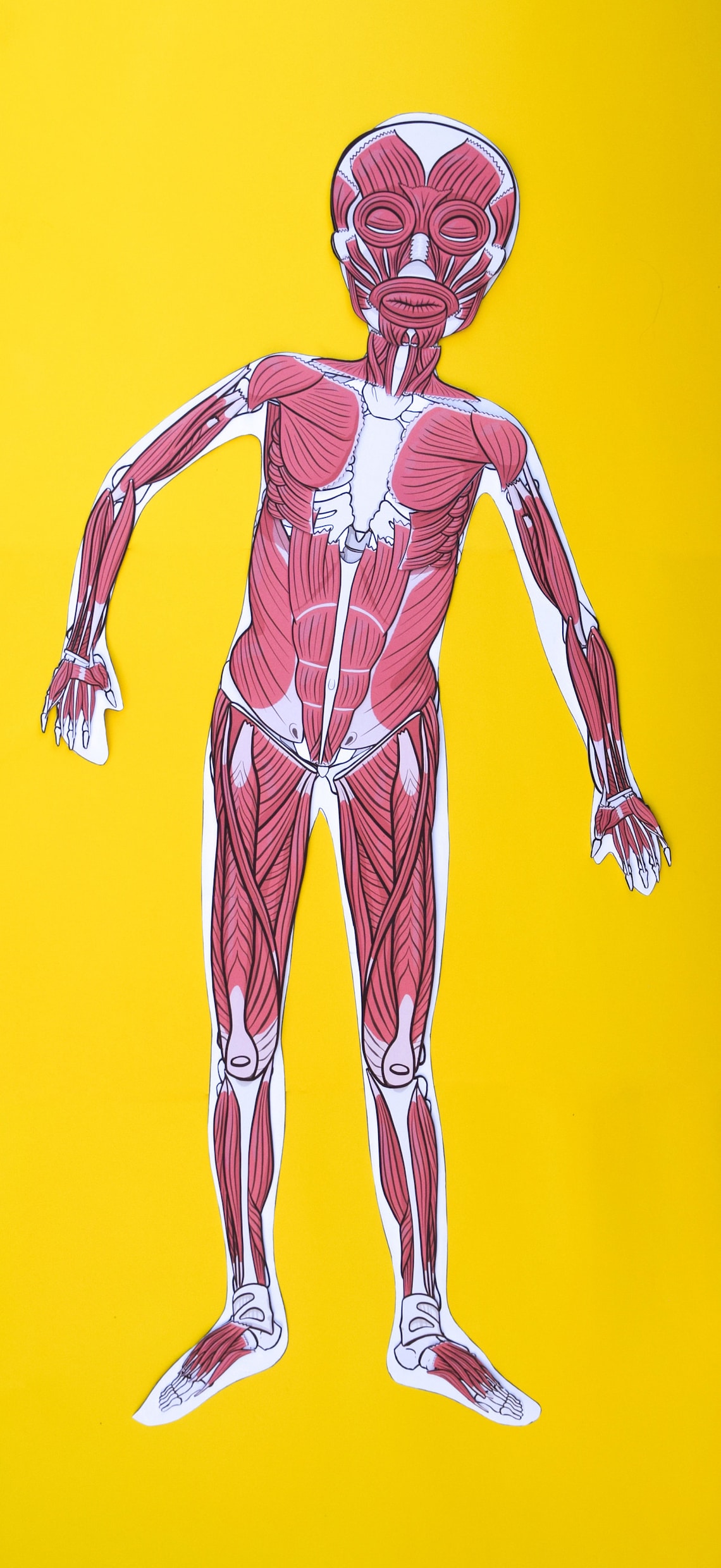 Printable Human Body Template - Etsy