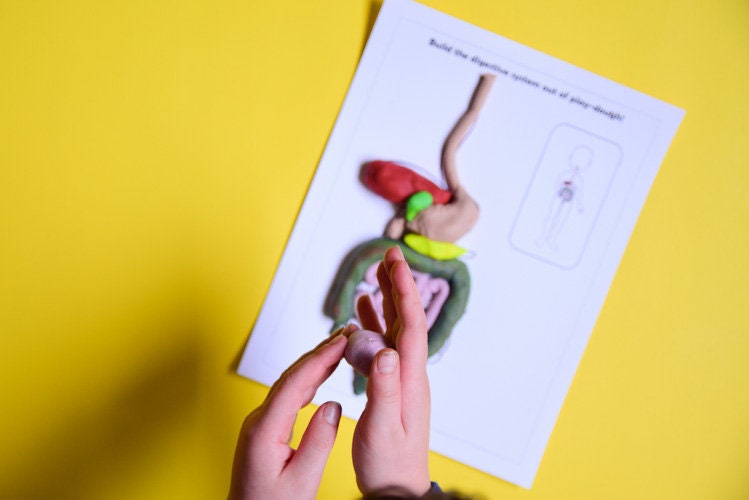 Printable Human Body Playdough Mats - Etsy