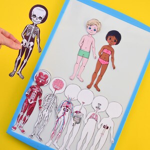 Printable Anatomy Paper Dolls - Etsy