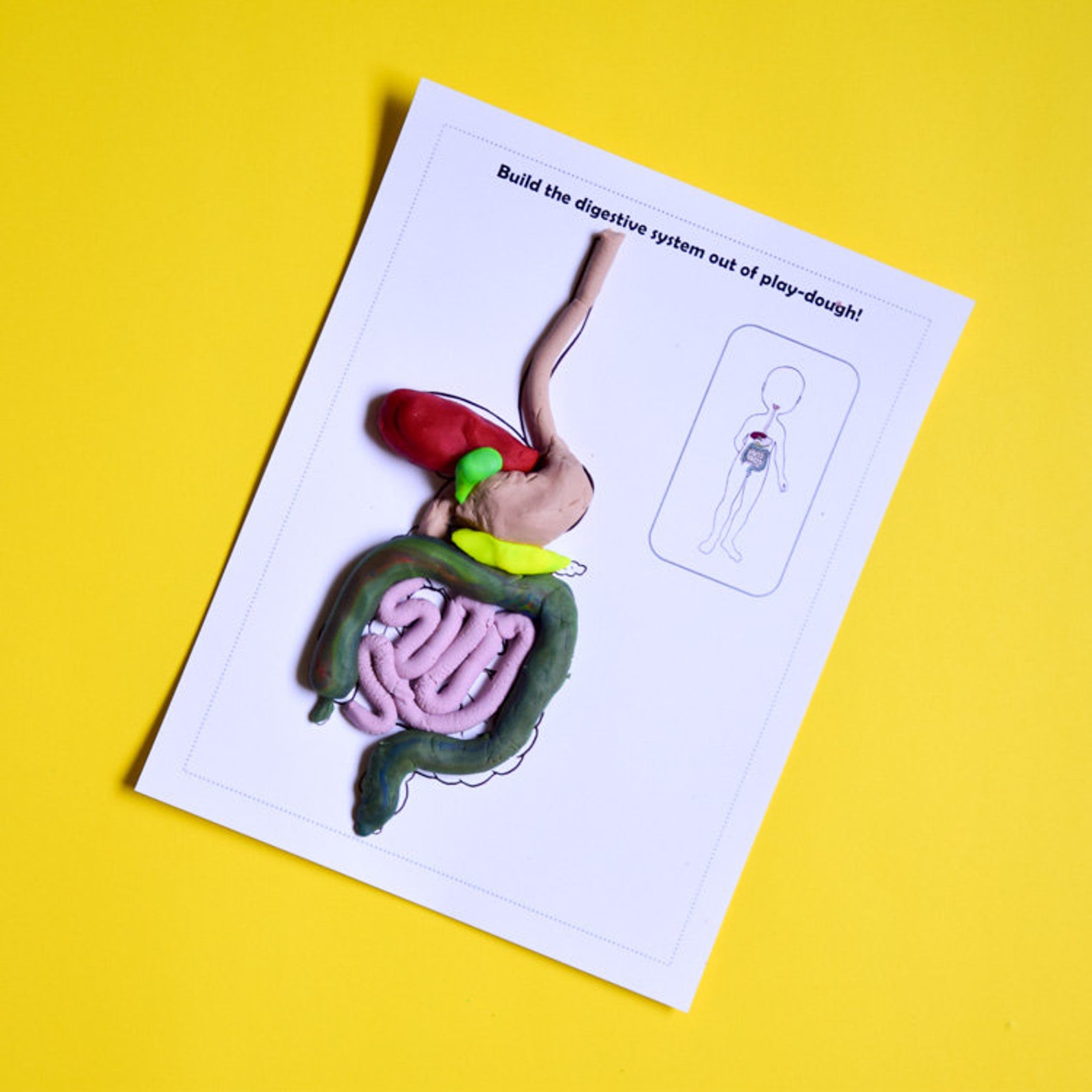 Printable Human Body Playdough Mats - Etsy