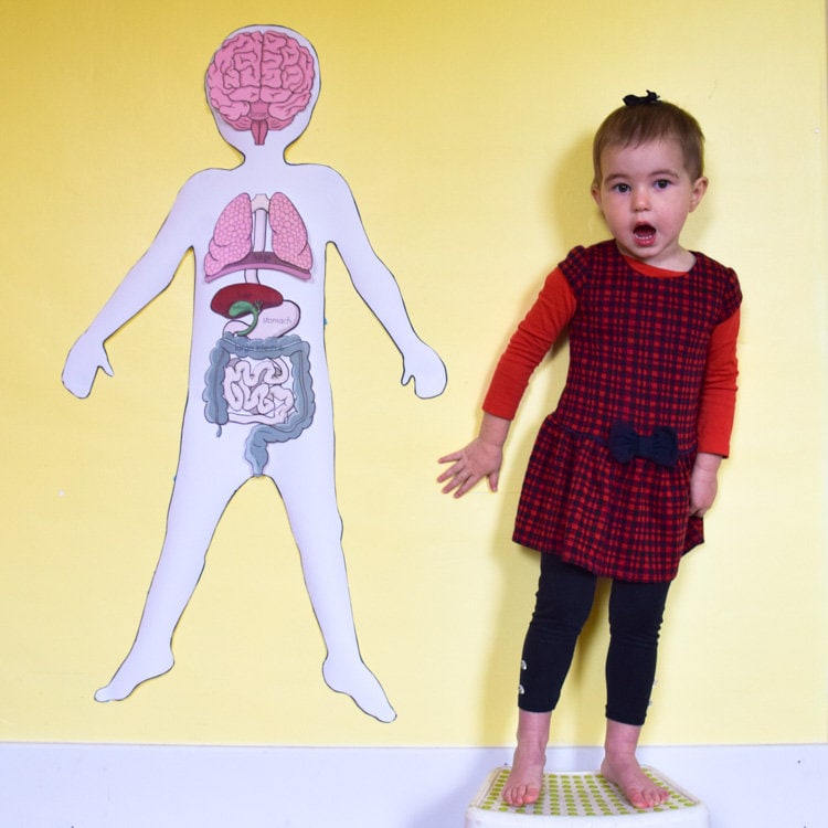 Printable Human Body Template - Etsy