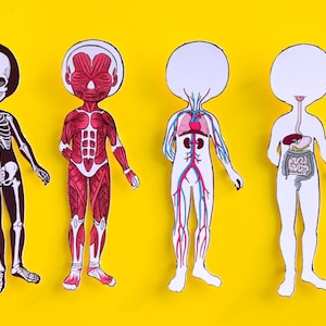 Printable Anatomy Paper Dolls - Etsy