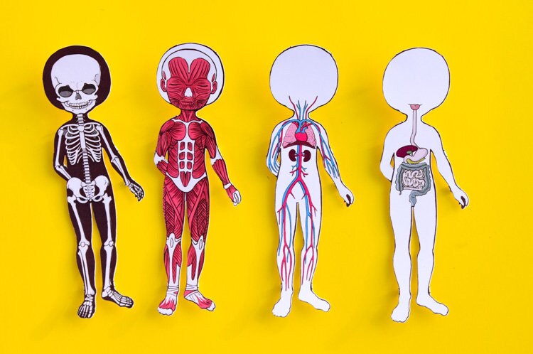 Printable Anatomy Paper Dolls - Etsy