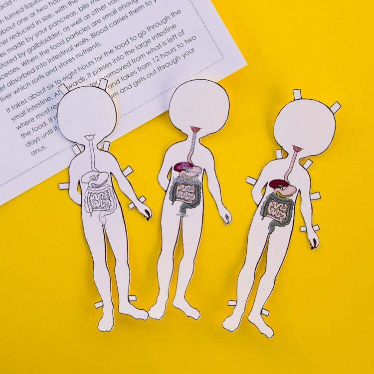 Printable Anatomy Paper Dolls - Etsy