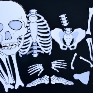 Printable Human Body Template - Etsy