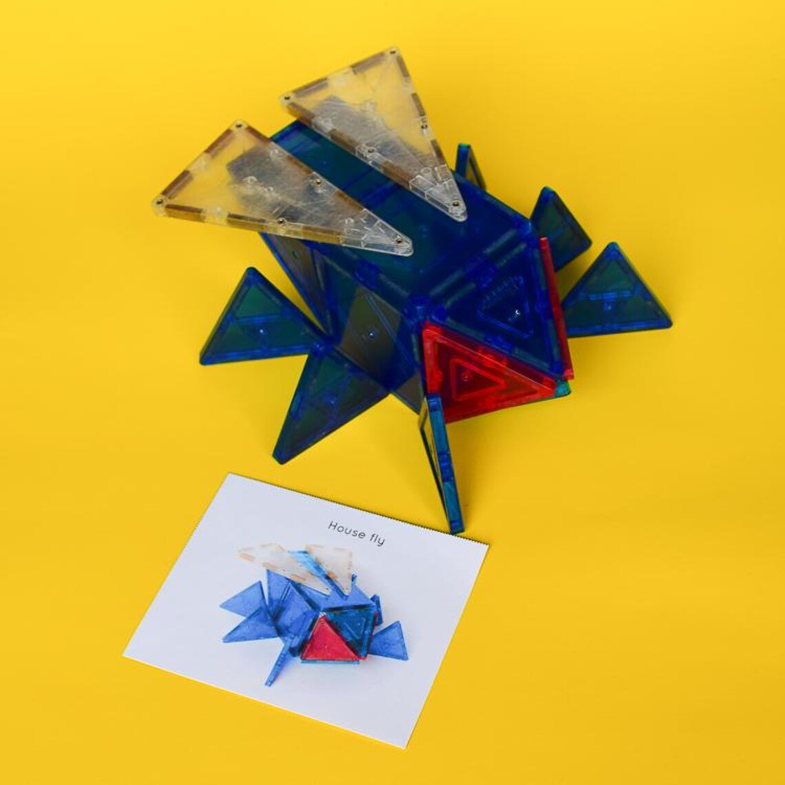 Animal Magna-tile Idea Cards - Etsy