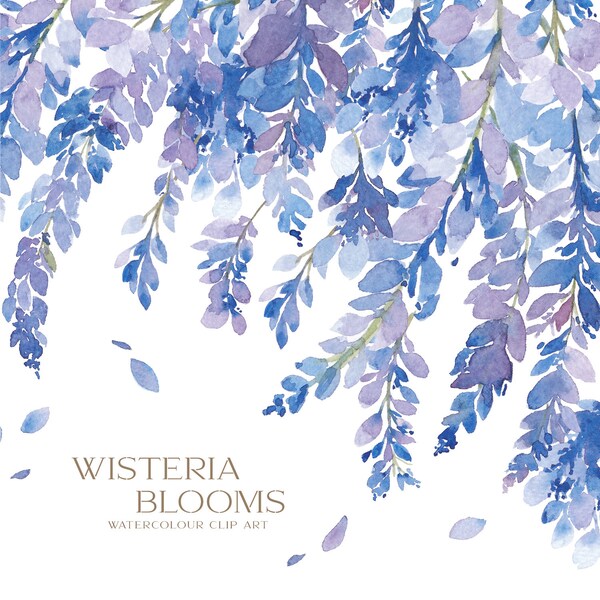 Wisteria Watercolor - Etsy