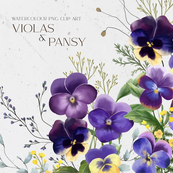 Pansy Clip Art - Etsy