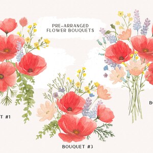 Poppy Floral Watercolour Clip Art Wild Flowers Arrangements Borders ...