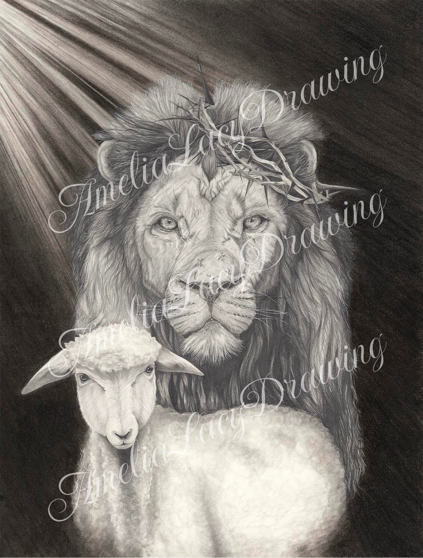 Original Lion and Lamb Pencil Drawing Print | Professional Digital ...