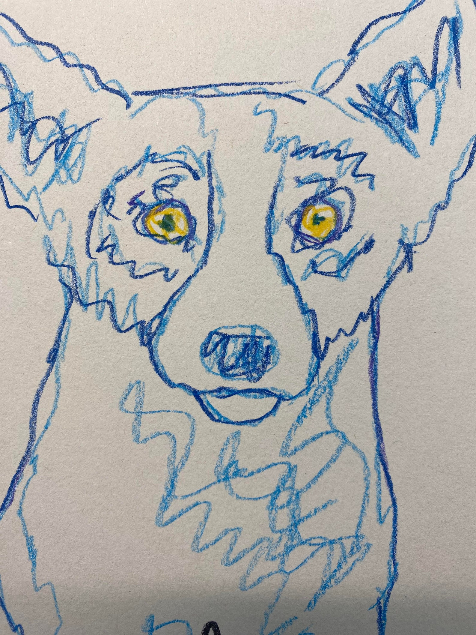 Original, Blue Dog, Estate Found, Drawing, Painting, Art, Artwork ...