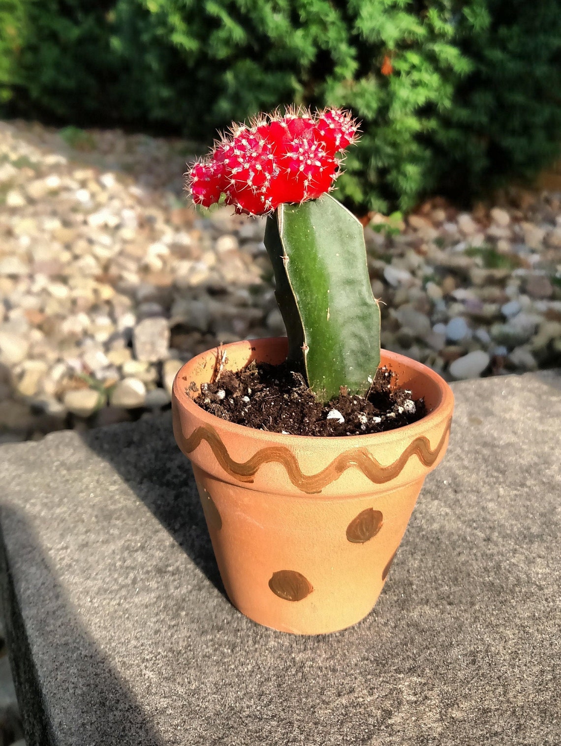 Hand-painted Floral Terra Cotta Pot - Etsy