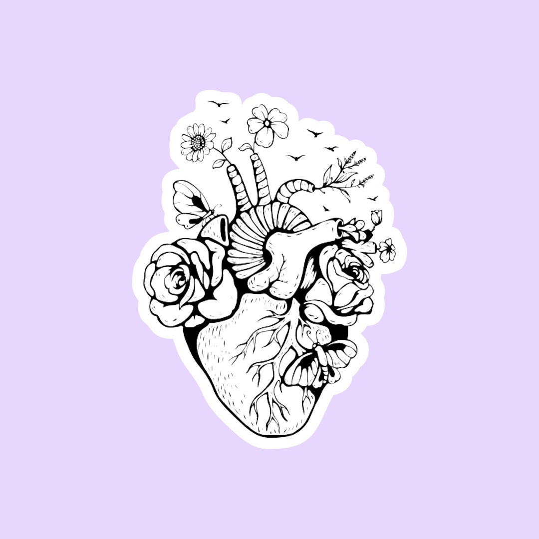 Anatomical Heart Sticker, Medical Stickers, Nurse Student, Scrapbook ...