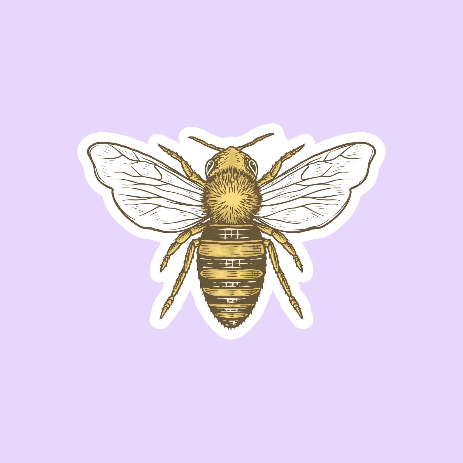 Honey Bee Sticker Funny Stickers Insect Stickers Animal - Etsy