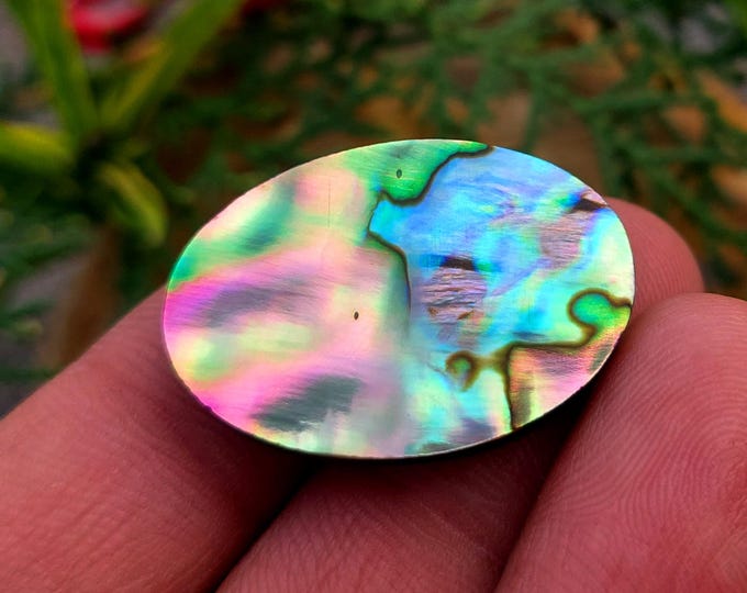 Abalone Shell, Natural Iridescent Flashy Abalone Shell, Mother of Pearl ...