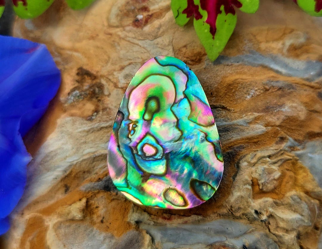 Natural Abalone Shell, Flat Back Abalone Shell, Mother of Pearl ...