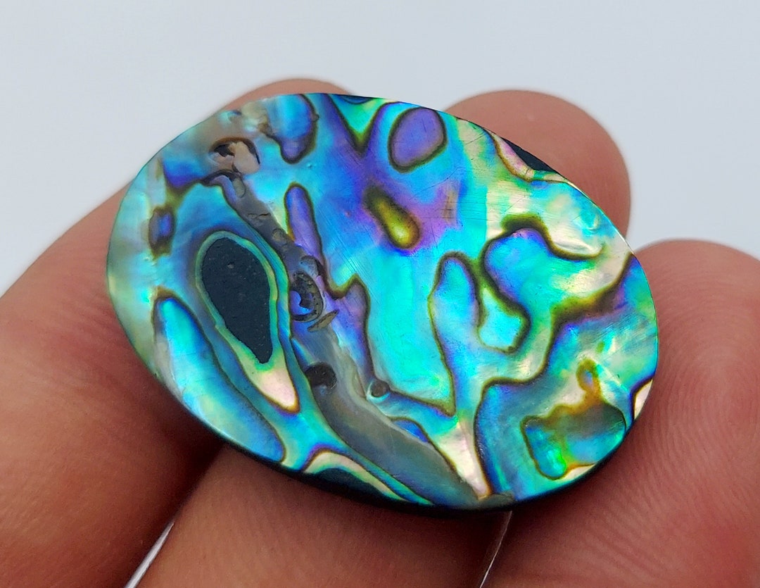 Abalone Shell, Natural Iridescent Flashy Abalone Shell, Mother of Pearl ...