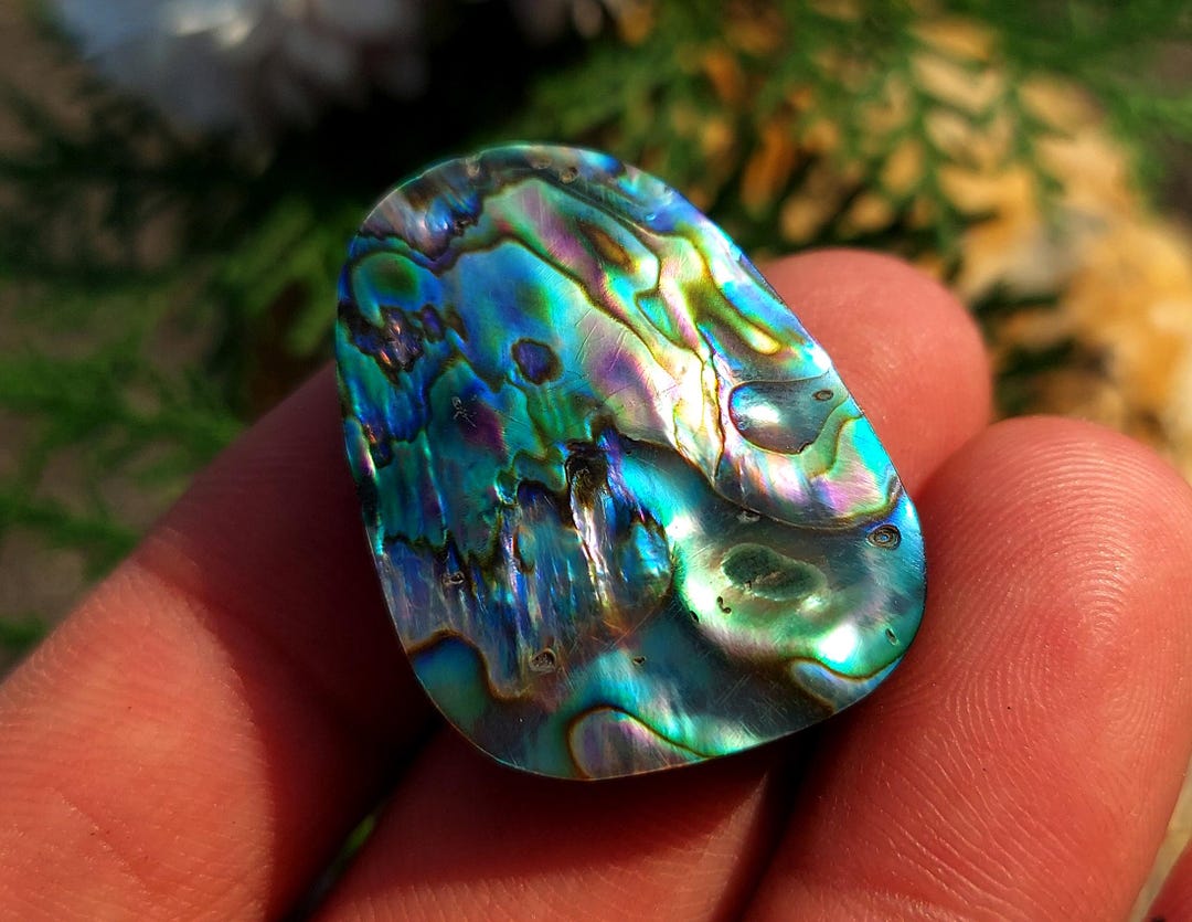 Abalone Shell, Natural Iridescent Flashy Abalone Shell, Mother of Pearl ...