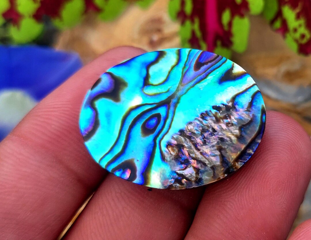 Abalone Shell, Natural Flashy Cabochon, Abalone Shell - Mother of Pearl ...