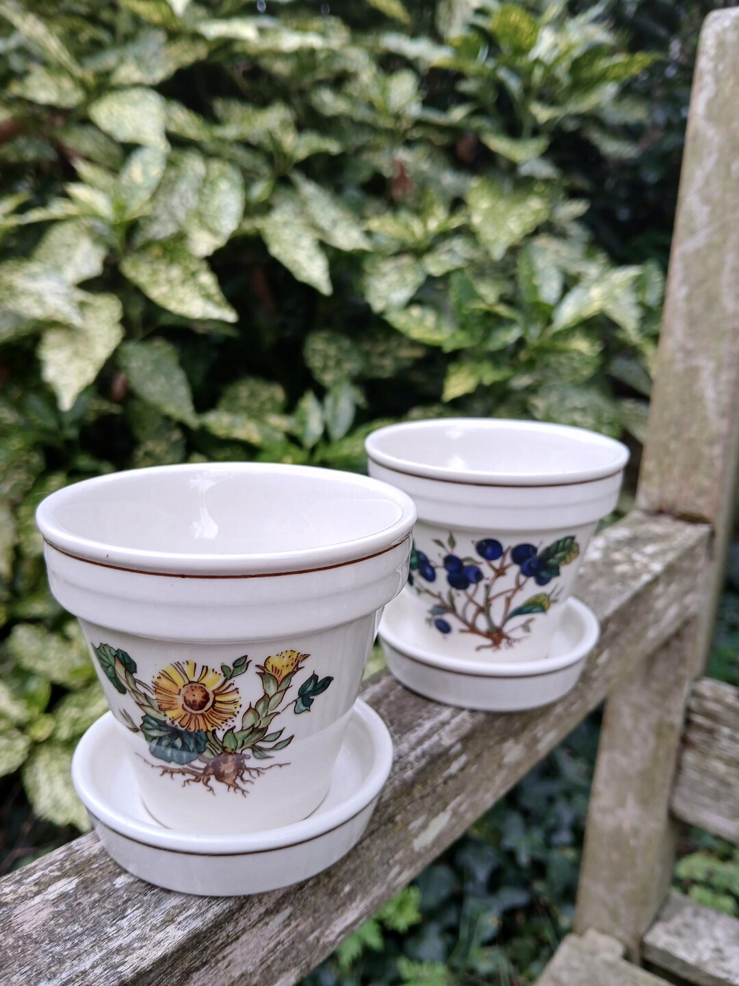 2 Miniature Flower Pots With Saucers From Villeroy and Boch Botanica - Etsy