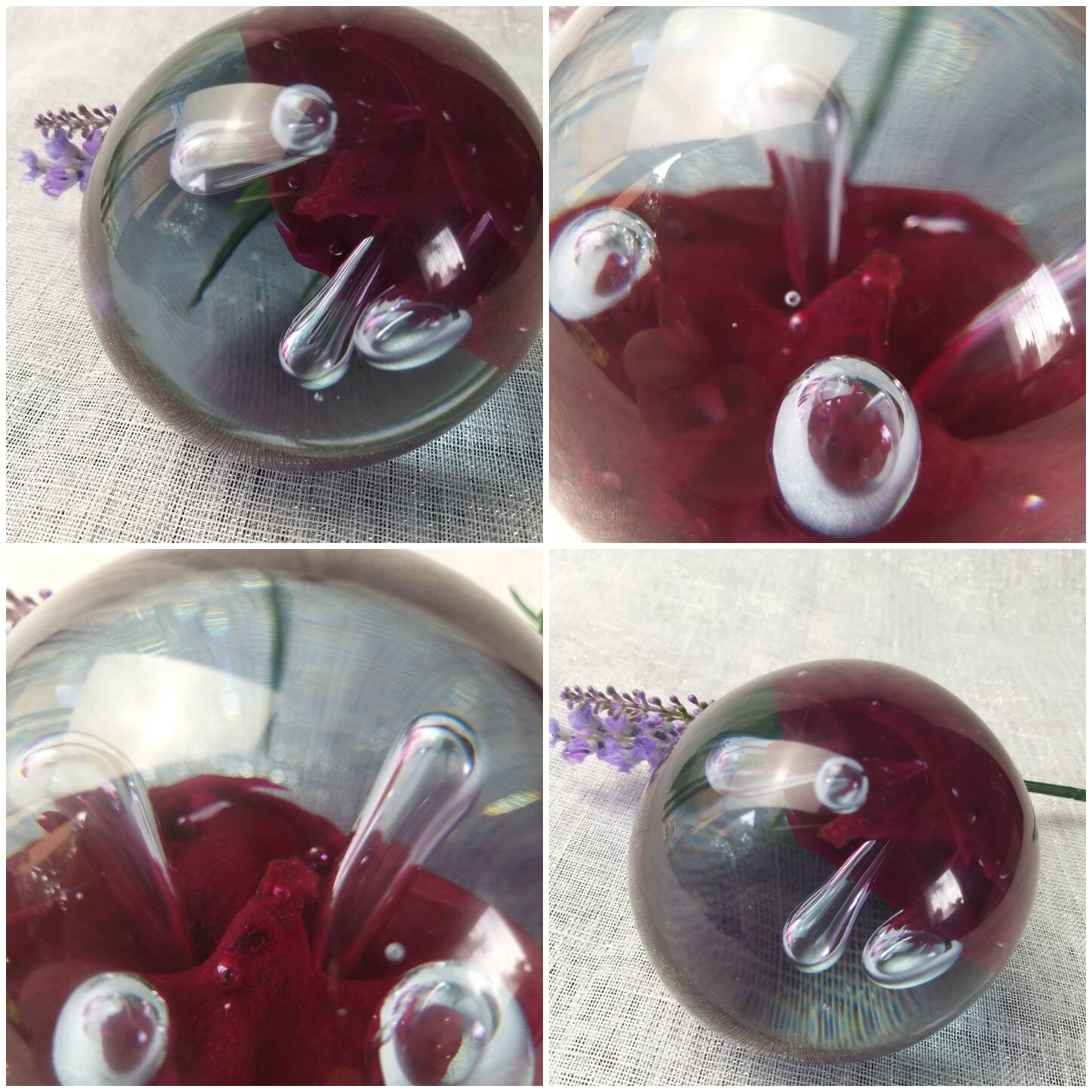 Vintage Caithness Paperweight Moonflower Colin Terris Scotland - Etsy