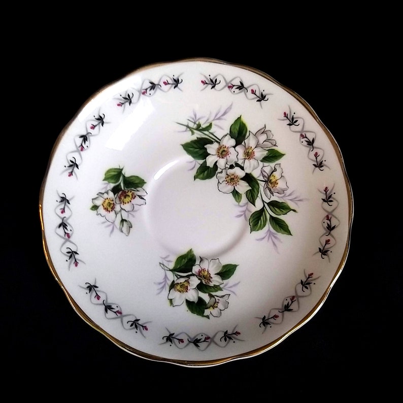 Vintage Royal Adderley Simplicity Bone China Green Leaves White ...