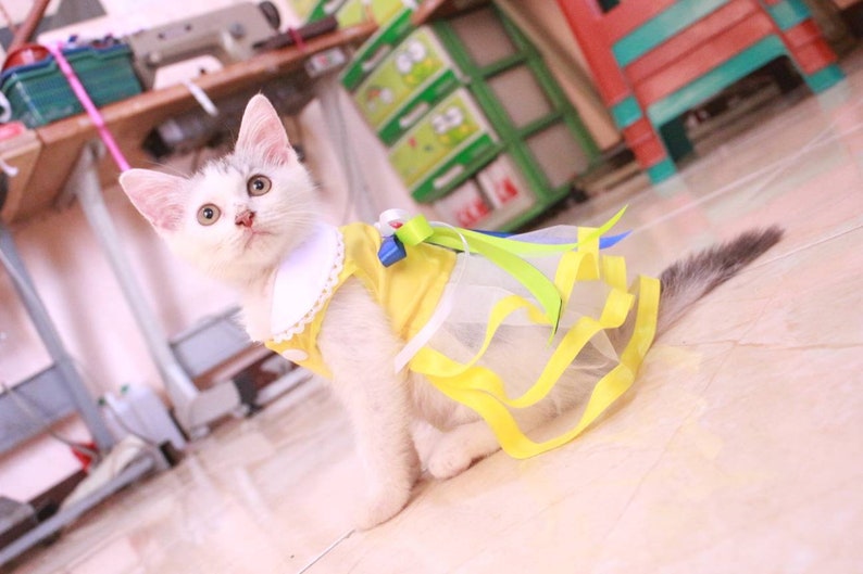 Dress Semi-tutu for Cat With Many Colour Choices, Persian Cat/sphynx ...