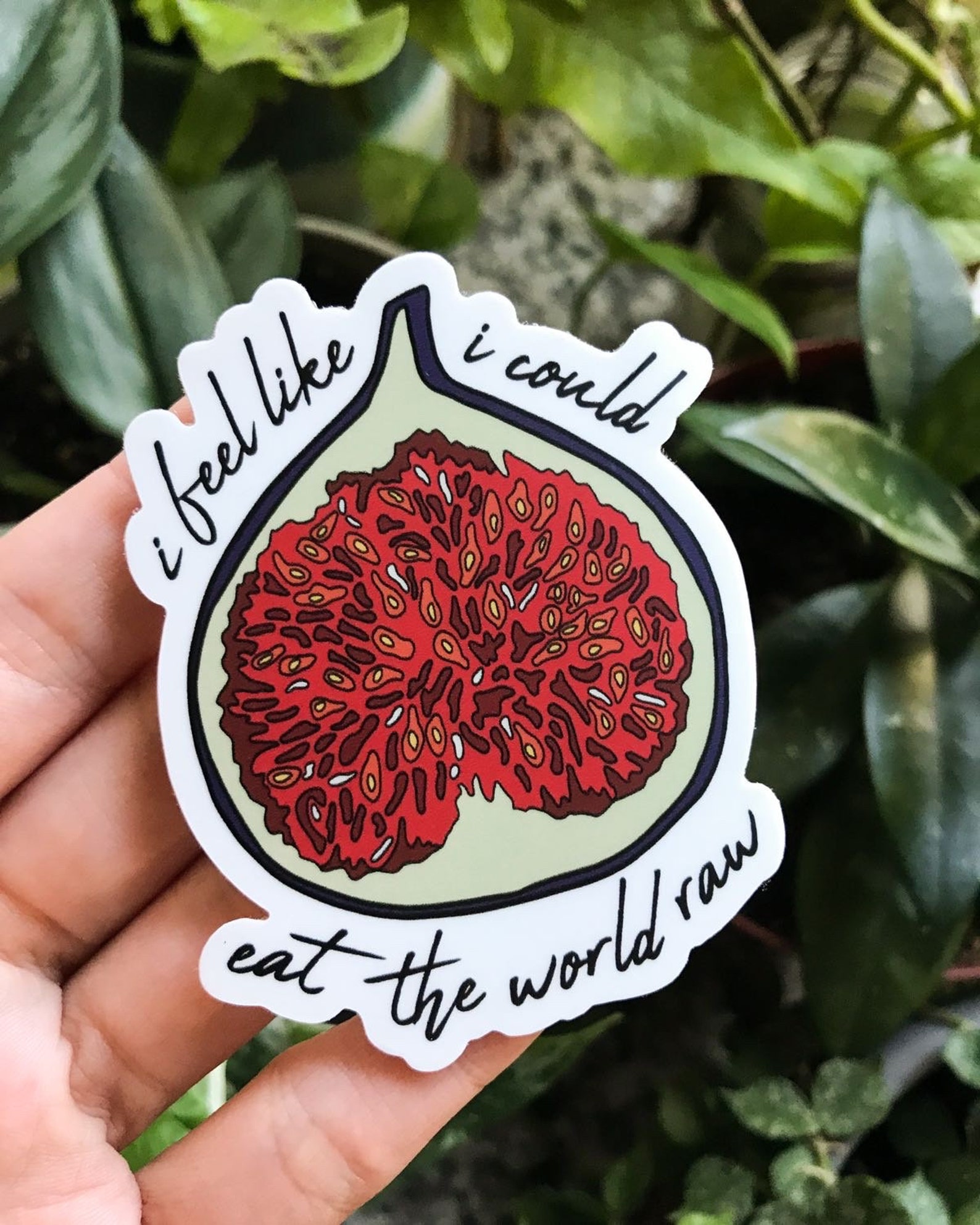 The Song of Achilles Sticker, TSOA Sticker, Eat the World Raw Sticker ...