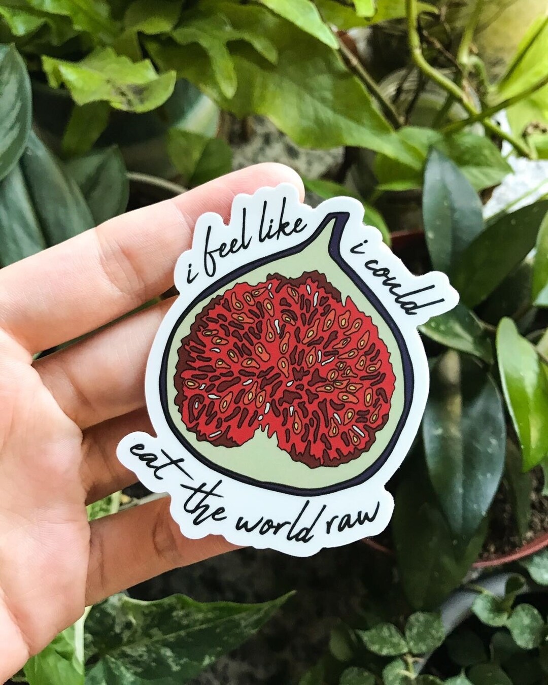 The Song of Achilles Sticker, TSOA Sticker, Eat the World Raw Sticker ...