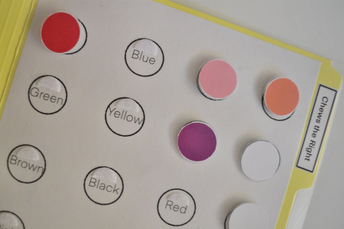 Chews the Right File Folder Game - Etsy