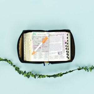 Come Follow Me Primary 2024 ELEMENTARY: Book of Mormon Lesson 16 April ...