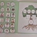 My Family Tree File Folder Game - Etsy
