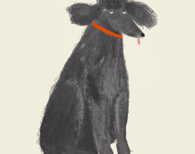 A3 Poodle Dog Print - Etsy