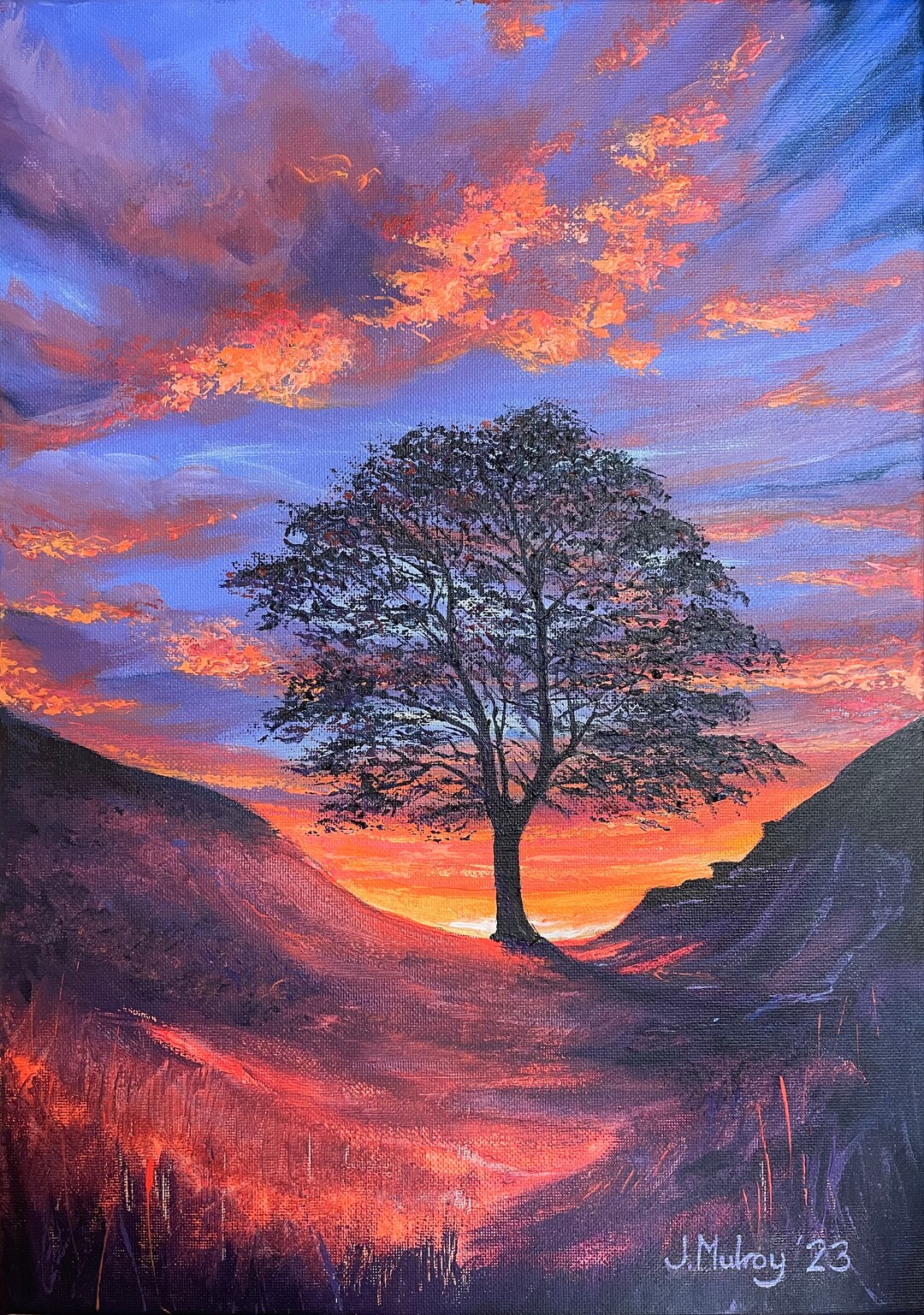 Sycamore Gap II - Limited Edition Prints Taken From My Original ...