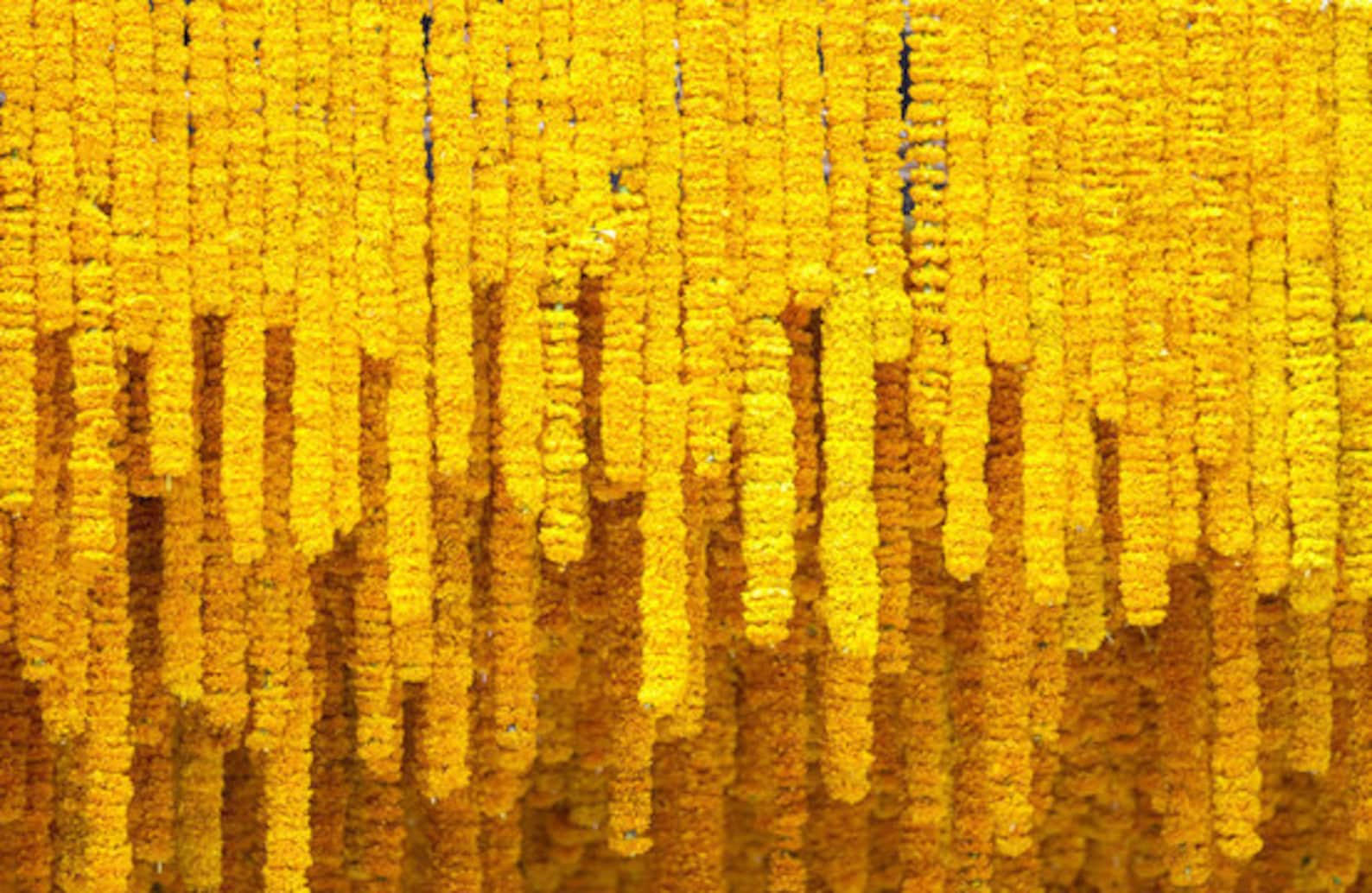 100 Pc Marigold Flower Garland Strings for Christmas Indian - Etsy