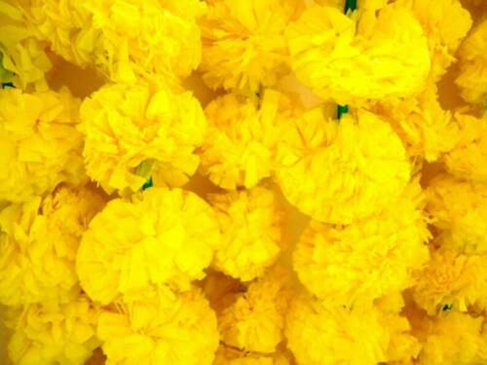 60 Pcs Lot Artificial Marigold Flower Garlands Vine Wedding - Etsy