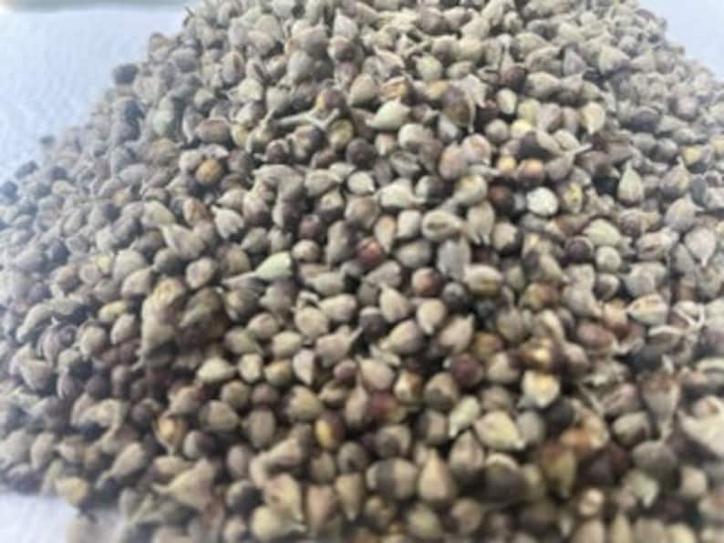 Vitex Chaste Tree Berries Dried Seeds Organic Dried Herb Vitex Agnus ...