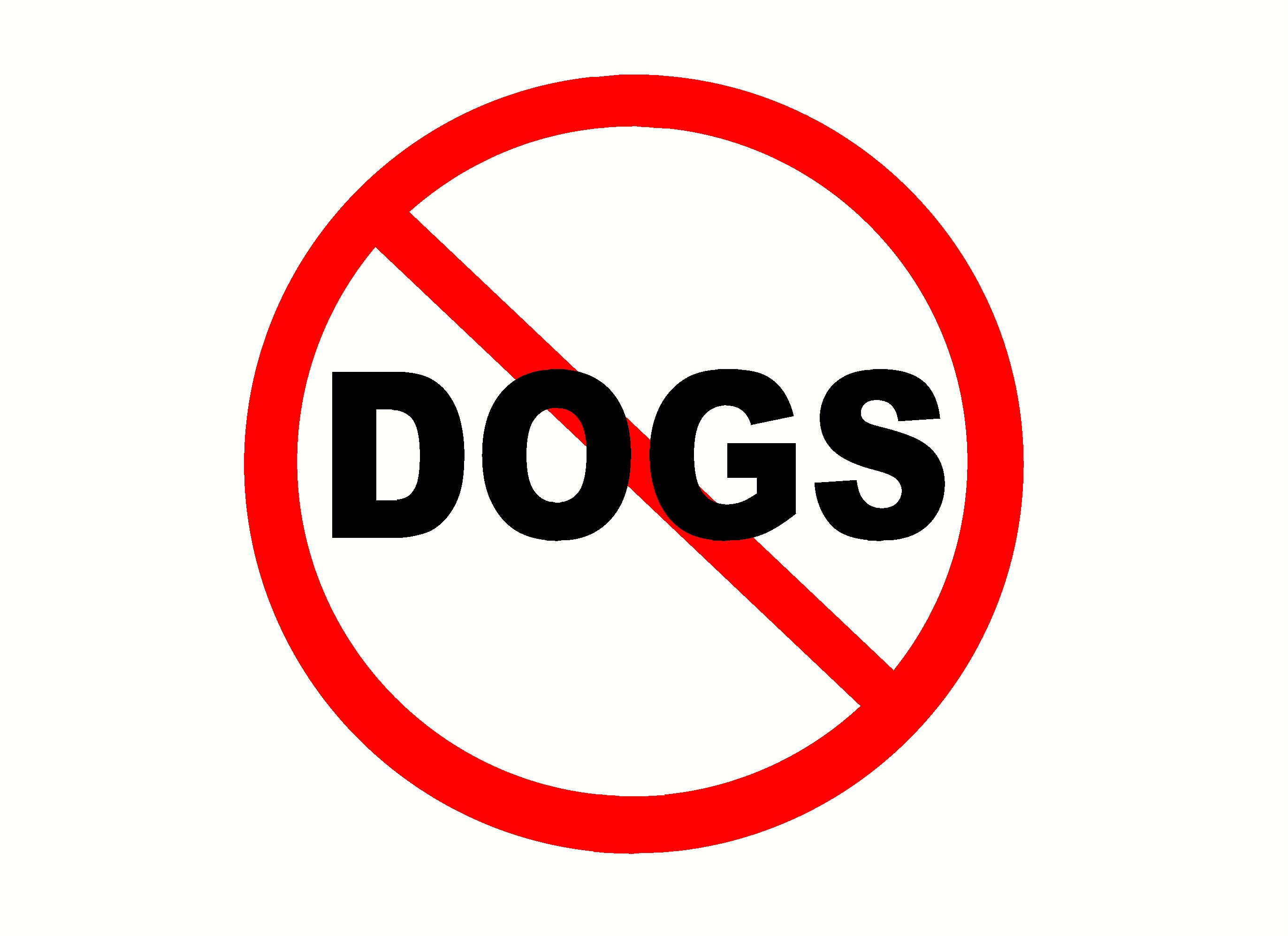 No Dogs Design Mini Sign Decal - Etsy