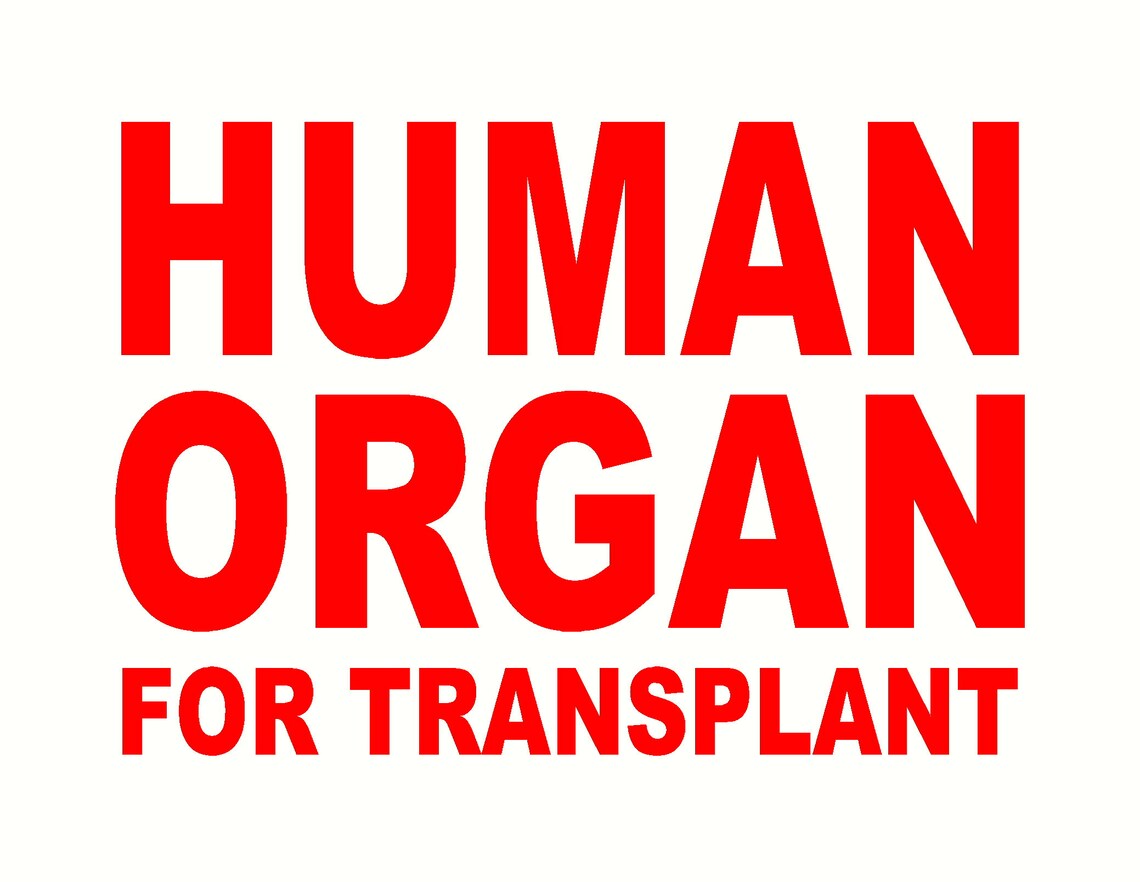 Human Organ for Transplant Design Sticker Cool Decal - Etsy