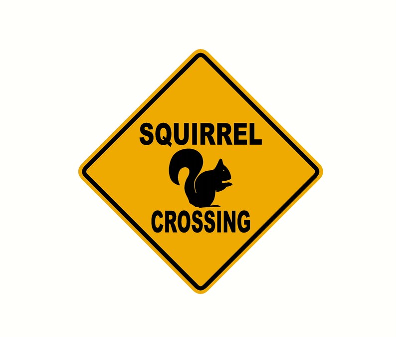 Squirrel Crossing Mini Road Sign Funny Decal Sticker - Etsy UK